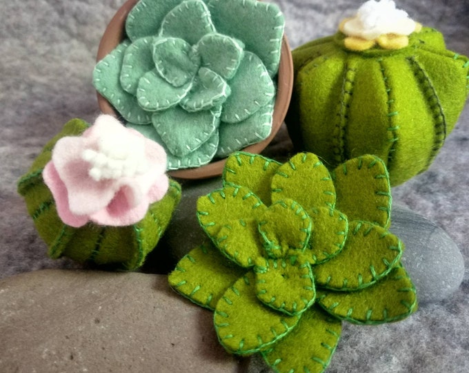 Wool Cactus & Succulent Decor Set - Etsy
