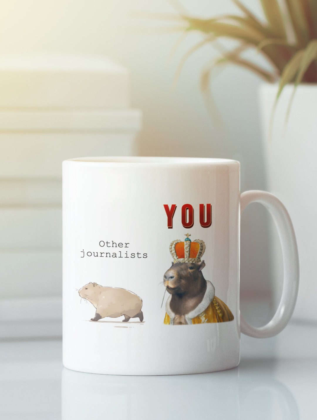 Journalist Mug, Funny Capybara Journalist Mug, Other Vs You, Journalist ...