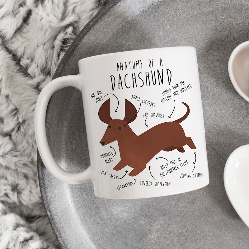 Weiner Dog Gifts - 60+ Gift Ideas for 2024