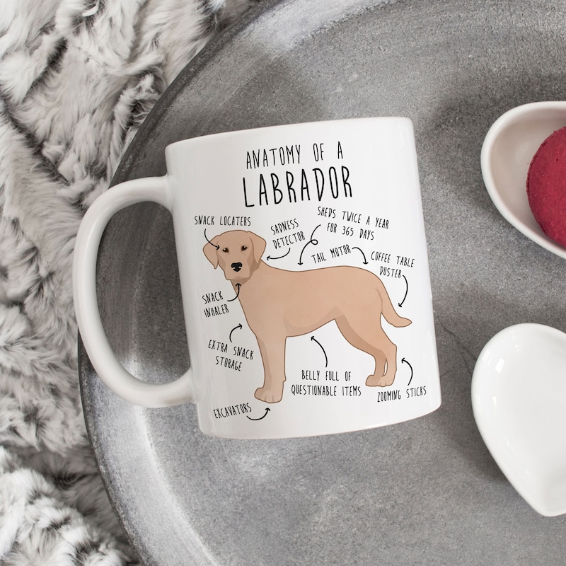 Yellow Lab - Etsy