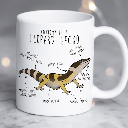 Reptile Coffee Mug Cute Lizard Gift Snake Lover Funny - Etsy