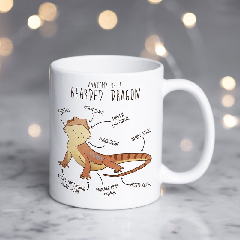 Dragon Accessories - Etsy