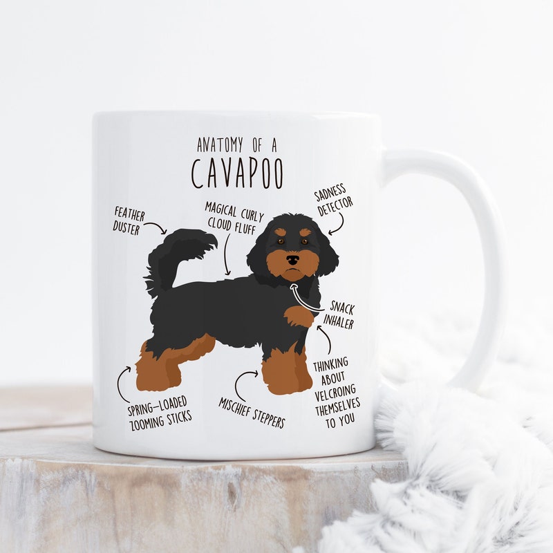 Cavapoo Gifts - 60+ Gift Ideas for 2025