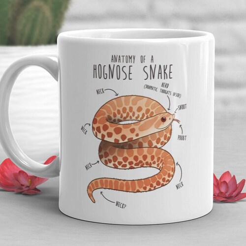 Corn Snake Coffee Mug Cute Snake Lover Gift Funny Reptile - Etsy
