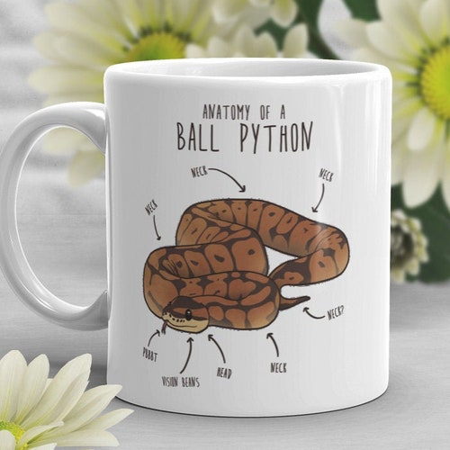 Corn Snake Coffee Mug Cute Snake Lover Gift Funny Reptile - Etsy