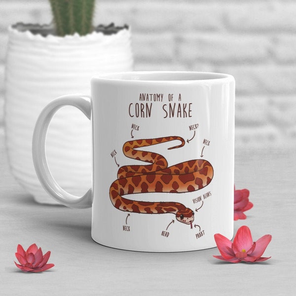 Snake Lover Gift - 60+ Gift Ideas for 2025