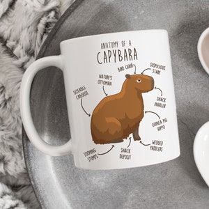 Capybara Coffee Mug, Mandarin Orange, Cute Animal Gift, Animal Lover ...
