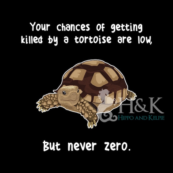 Slow Turtle Meme