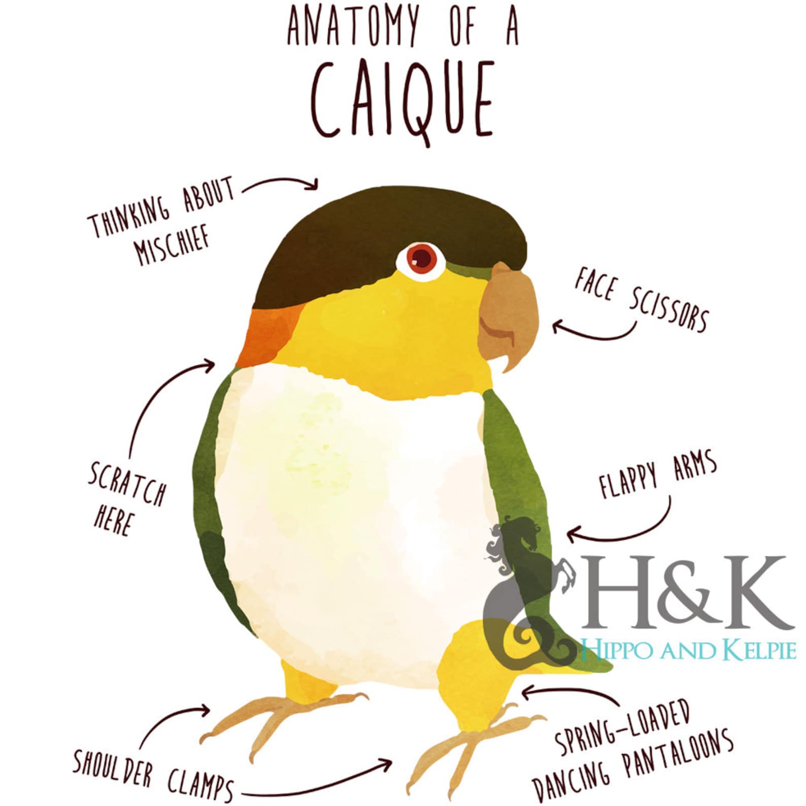 Funny Caique Coffee Mug Cute Bird Gift Parrot Lover Gift - Etsy