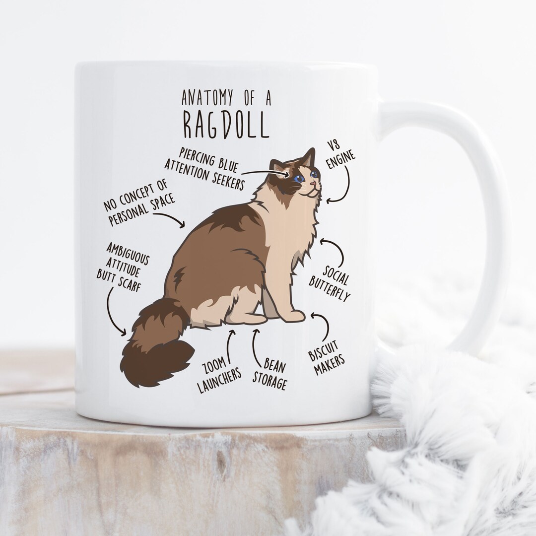 Ragdoll Cat Coffee Mug, Funny Ragdoll Cat Lover Gift, Cute Ragdoll Cat ...