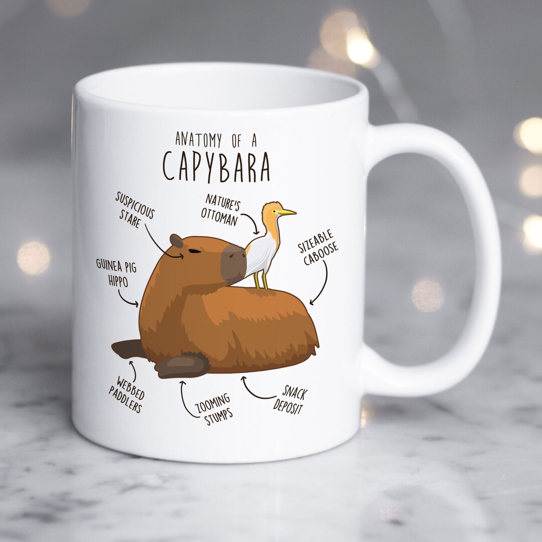 Capybara Coffee Mug, Mandarin Orange, Cute Animal Gift, Animal Lover ...