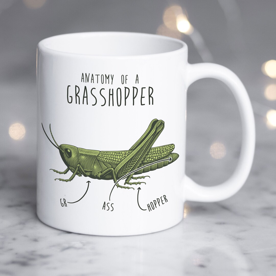 Grasshopper Coffee Mug, Cute Grasshopper Gift, Animal Lover, Funny ...