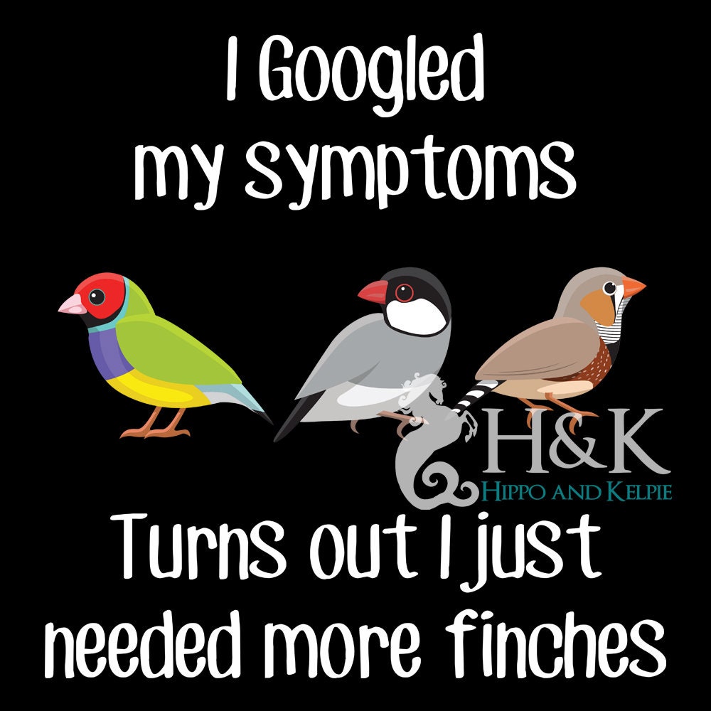 Funny Finch Shirt Women Men Bird Lover Gift Pet Zebra | Etsy