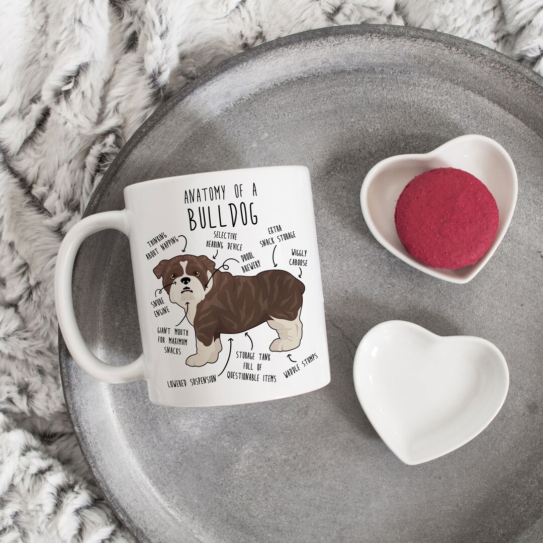 English Bulldog Coffee Mug, Cute Brindle Bulldog Gift, Dog Lover, Funny ...