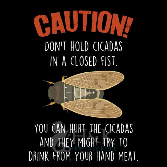 Cicada Wall Memes