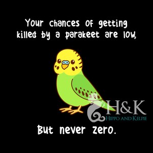 Parakeet Shirt, Women, Men, Funny Budgie Lover Gift, Cute Bird T-shirt ...