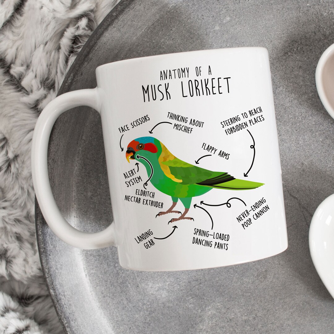Musk Lorikeet Coffee Mug, Cute Bird Gift, Pet Native Lory Lover, Funny ...