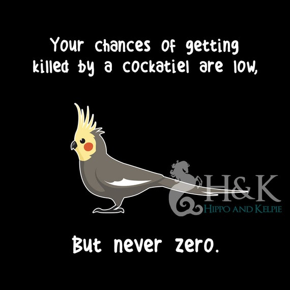 Funny Cockatiel Pictures