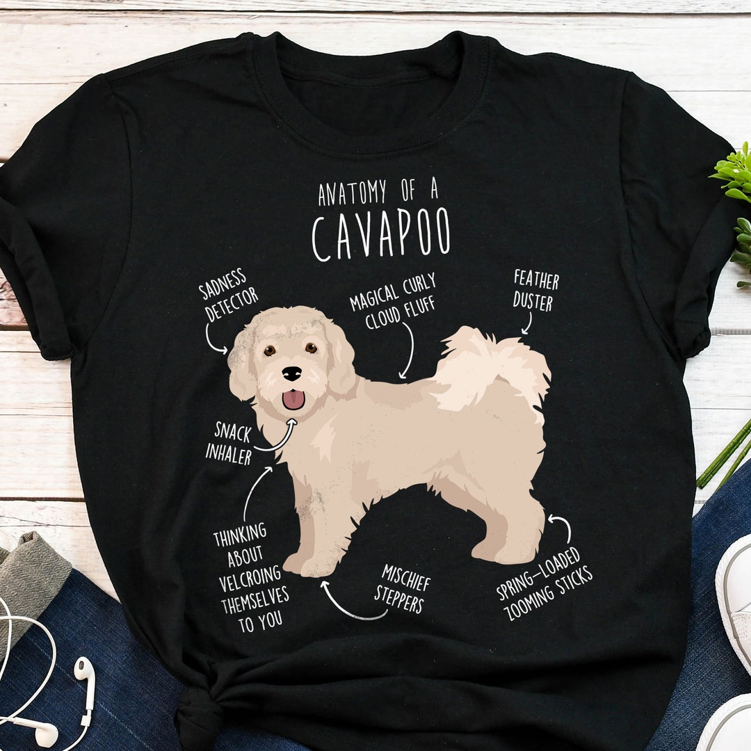 Cavapoo Shirt, Women, Men, Funny Cream Cavapoo Dog Lover Gift, Cute ...