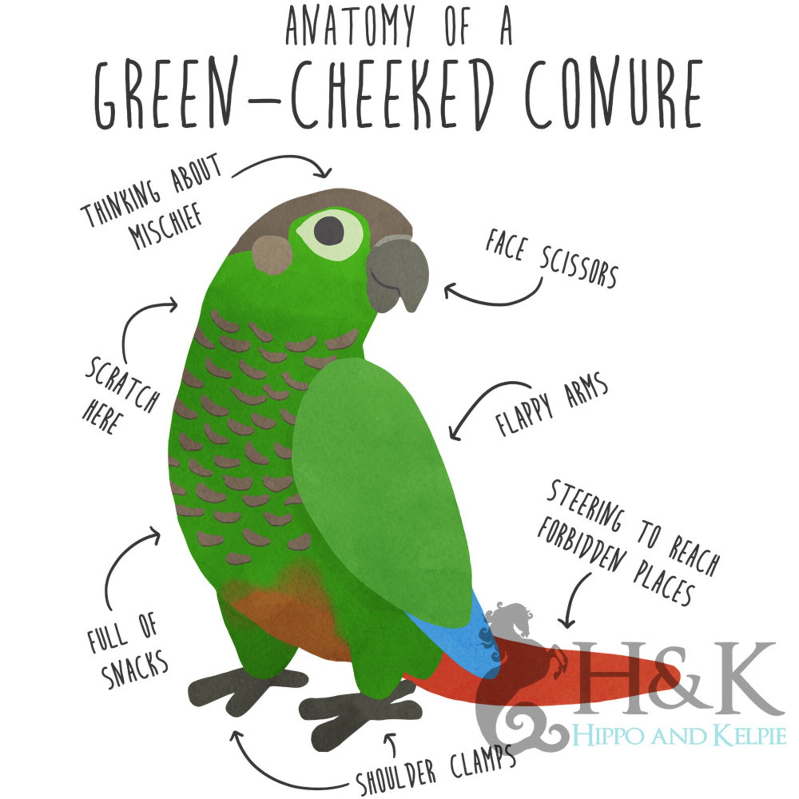 Green Cheek Conure Coffee Mug, Cute Pet Parrot Gift, Bird Lover, Funny ...