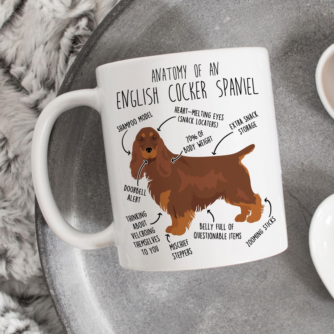 English Cocker Spaniel Coffee Mug, Cute Liver and Tan Cocker Spaniel ...