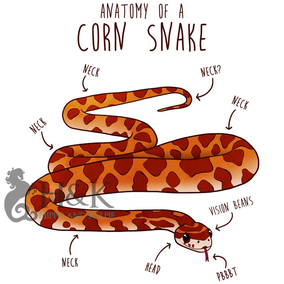 Corn Snake Coffee Mug Cute Snake Lover Gift Funny Reptile | Etsy