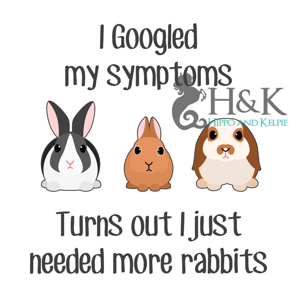 Funny Rabbit Coffee Mug Cute Bunny Gift Pet Rabbit Lover | Etsy