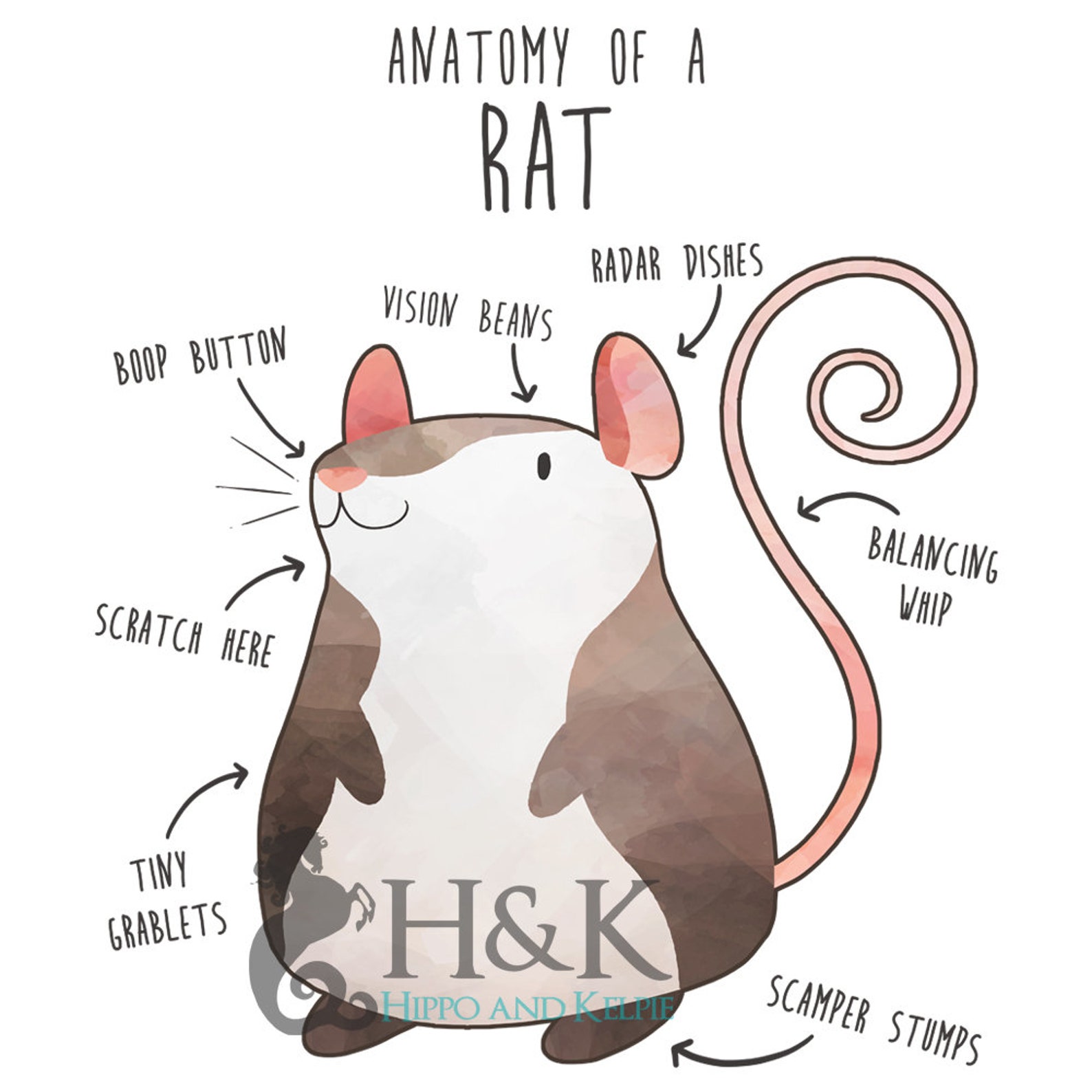 Rat Coffee Mug Cute Rat Gift Rat Lover Rat Cup Gift for | Etsy