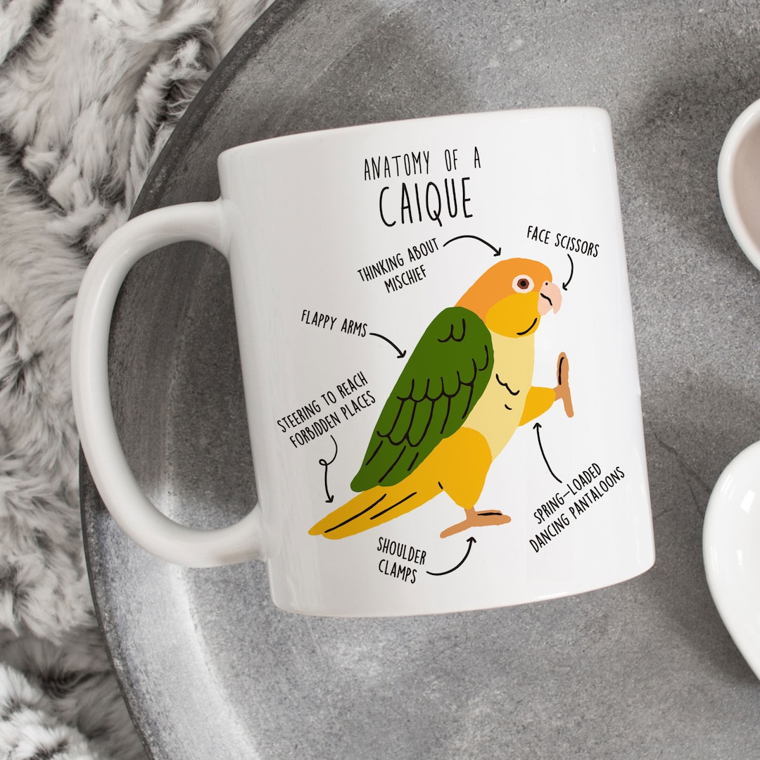 Caique Coffee Mug, Cute Bird Gift, Parrot Lover, Funny Gift for Her ...