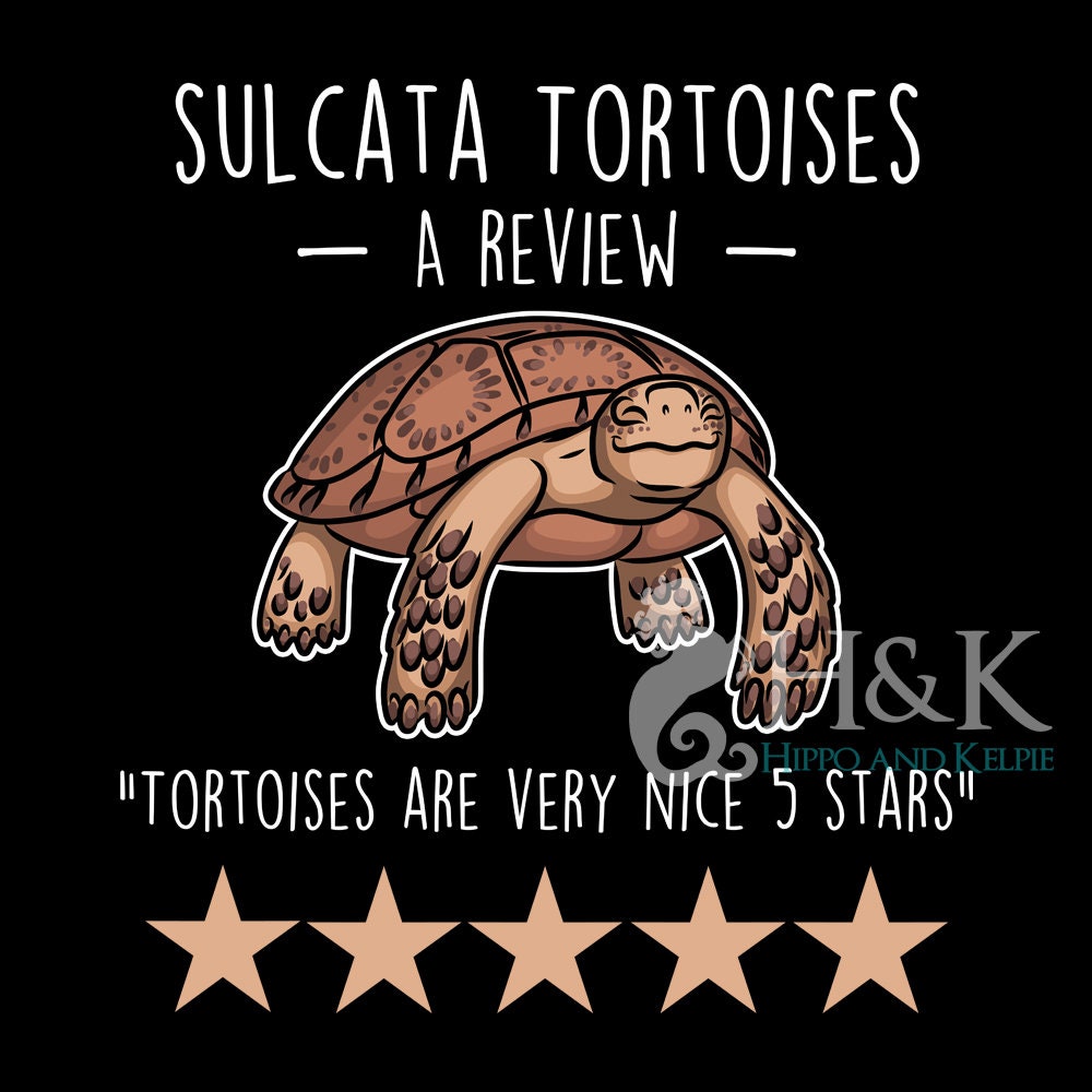 Sulcata Tortoise Shirt, Women, Men, Pet Reptile Tshirt, Turtle Lover ...