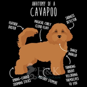 Cavapoo Shirt, Women, Men, Funny Red Cavapoo Dog Lover Gift, Cute ...