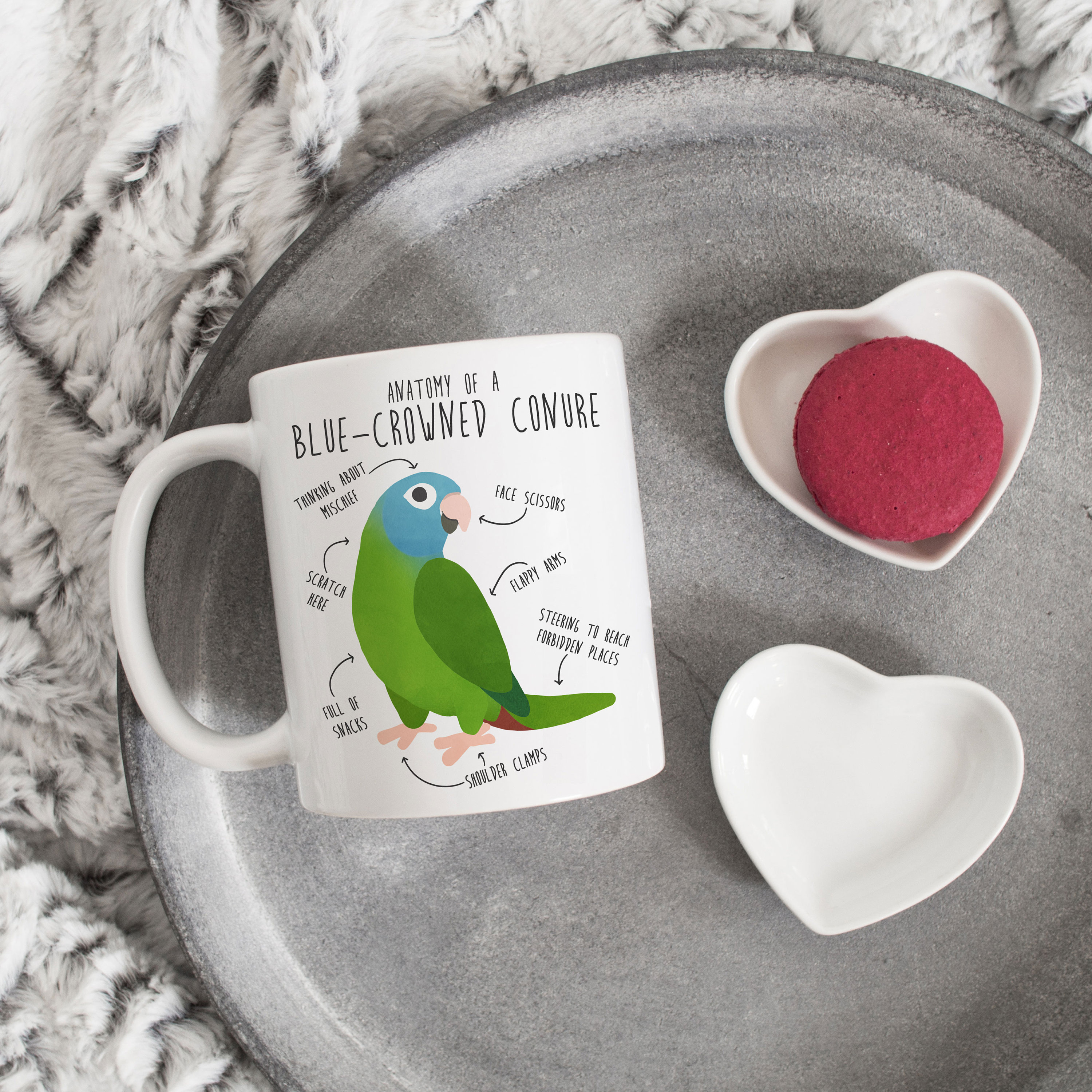 Green Cheek Conure Coffee Mug, Cute Pet Parrot Gift, Bird Lover, Funny ...