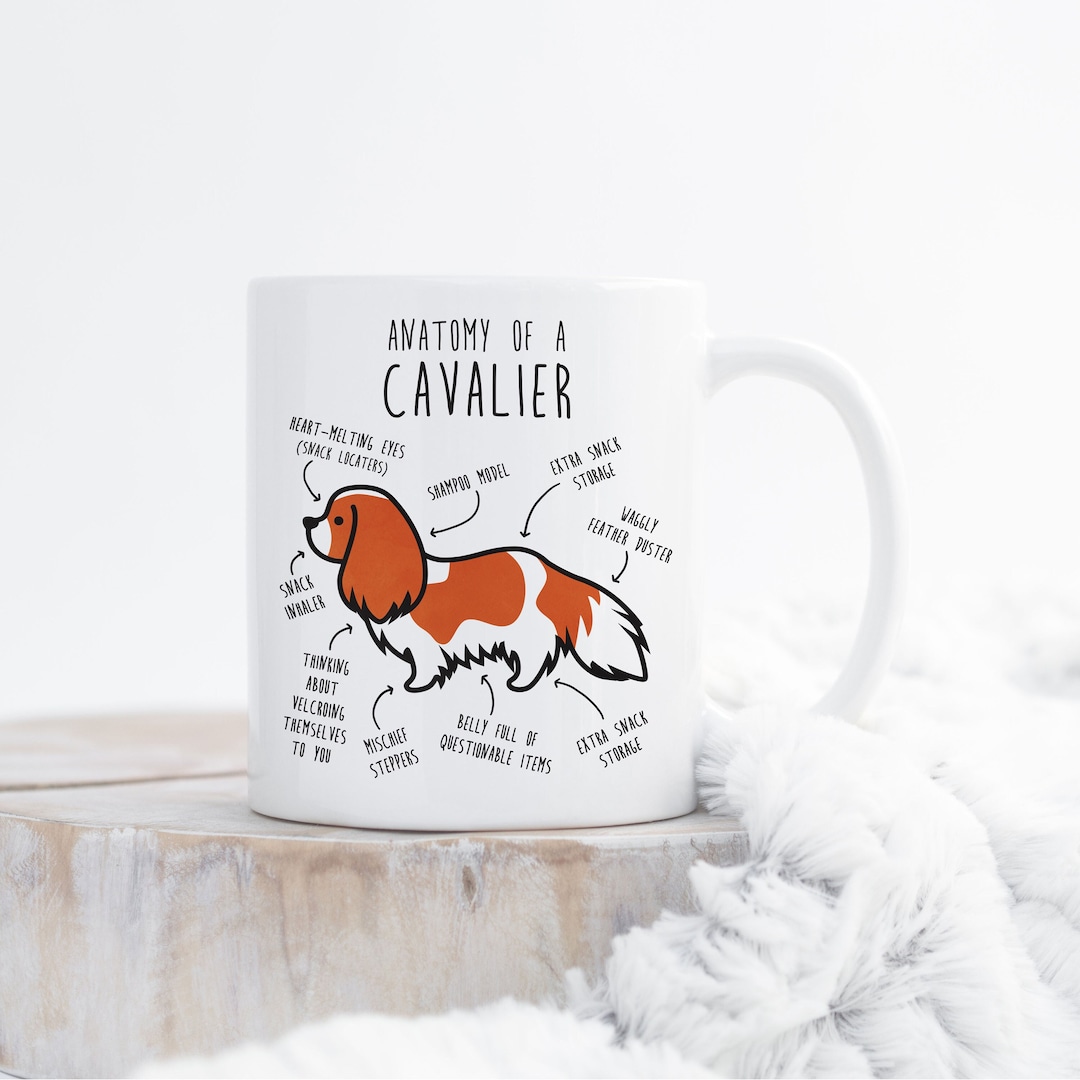Cavalier King Charles Spaniel Coffee Mug, Cute Blenheim Cav Gift, Dog ...