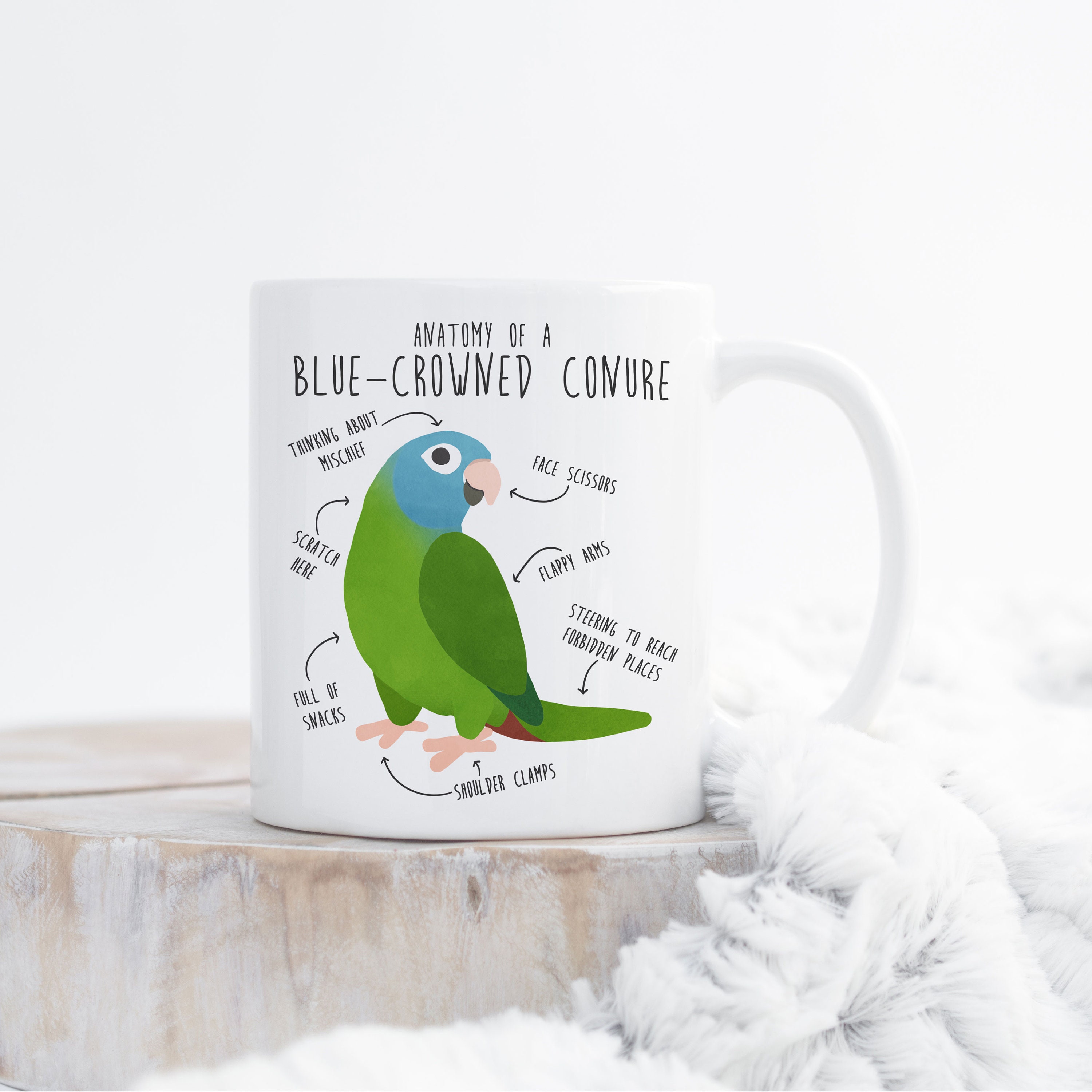Green Cheek Conure Coffee Mug, Cute Pet Parrot Gift, Bird Lover, Funny ...