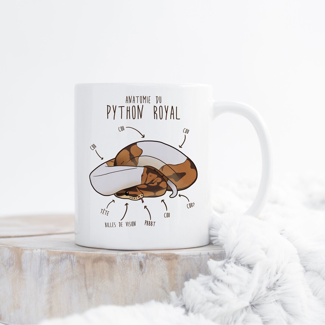 Anatomie Du Python Royal, Français French Piebald Ball Python Coffee ...