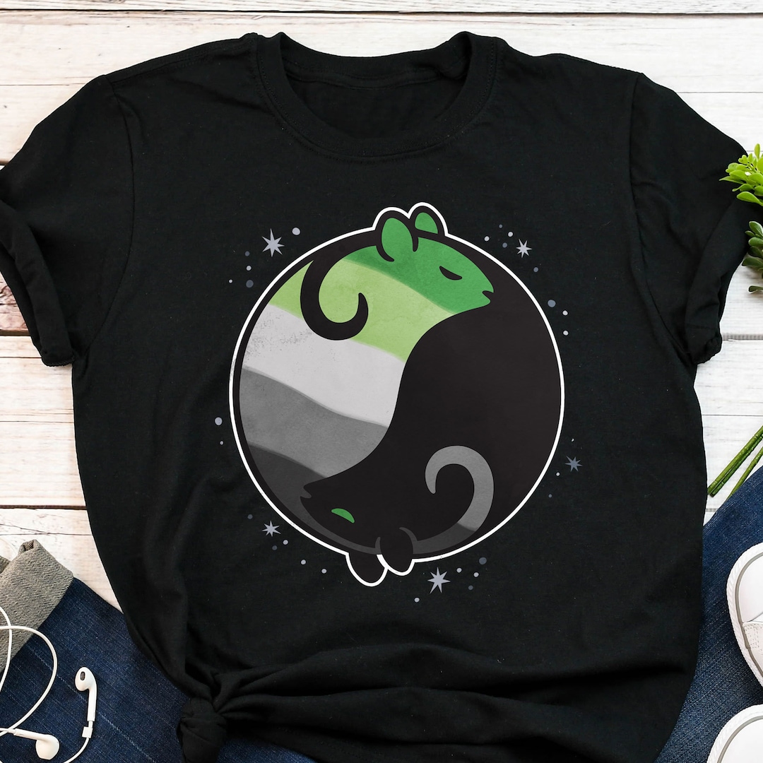 Aromantic Pride Shirt, Women, Men, Aro Flag Gift, LGBT T-shirt, Gay ...