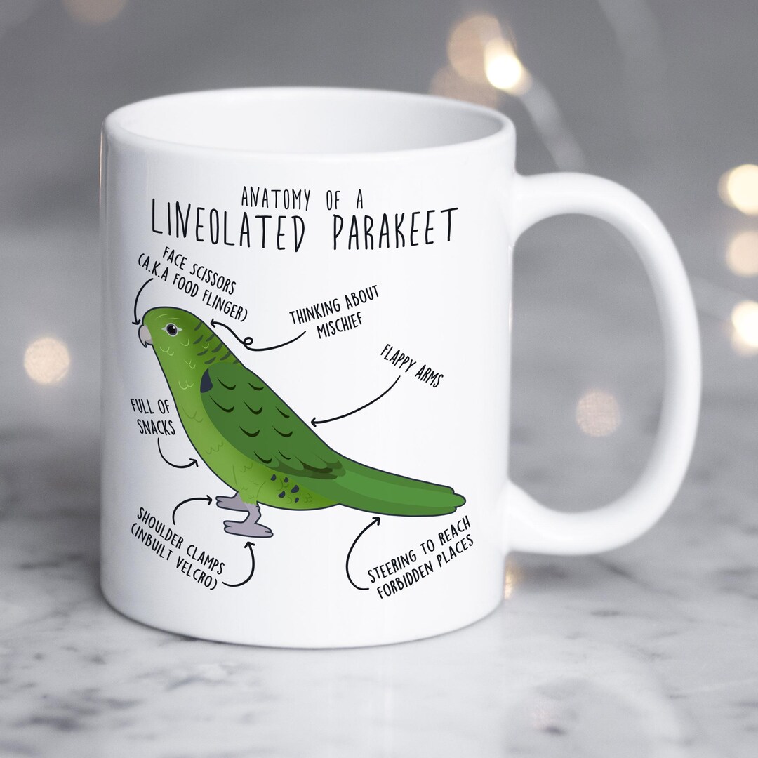 Lineolated Parakeet Coffee Mug, Green Linnie, Cute Bird Gift, Pet ...