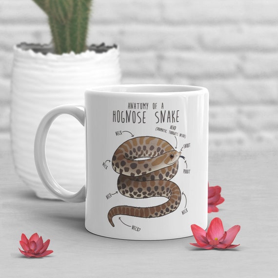 Hognose Snake Coffee Mug Cute Snake Lover Gift Funny Reptile | Etsy