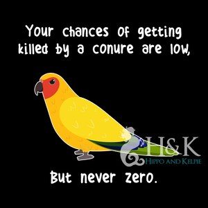Sun Conure Shirt, Women, Men, Funny Parrot Lover Gift, Cute Pet T-shirt ...