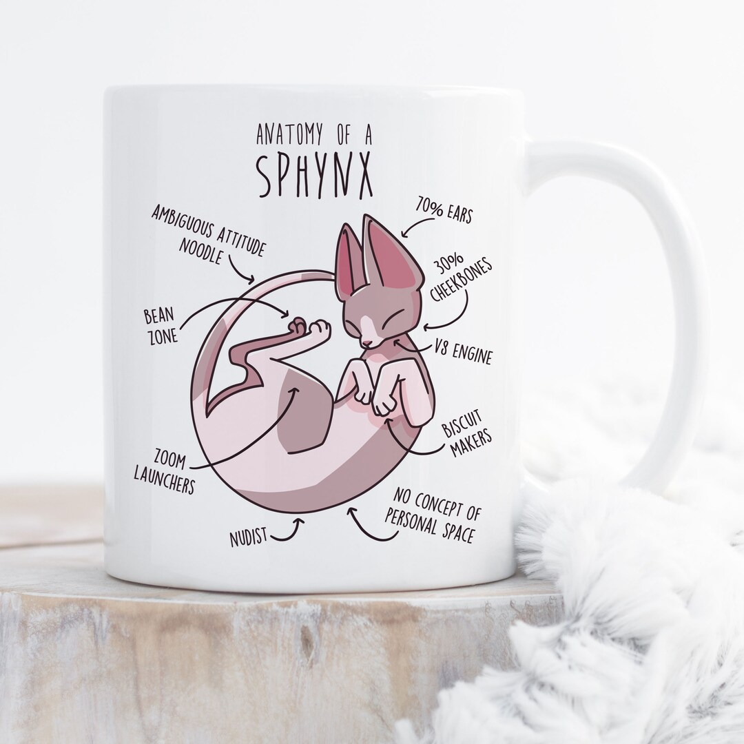 Sphynx Cat Coffee Mug, Funny Sphynx Lover Gift, Cute Cat Coffee Cup ...