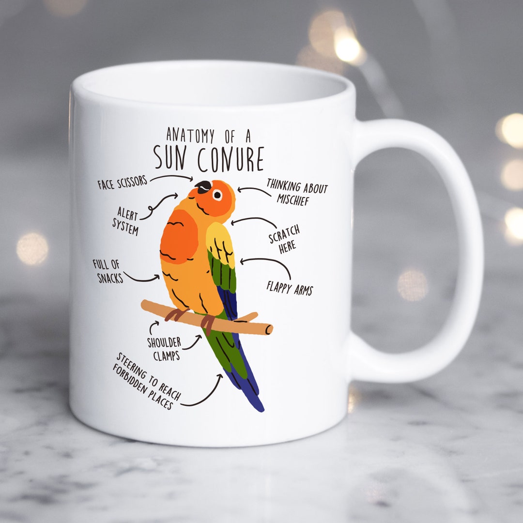 Sun Conure Coffee Mug, Cute Parrot Gift, Pet Bird Lover, Funny Gift for ...