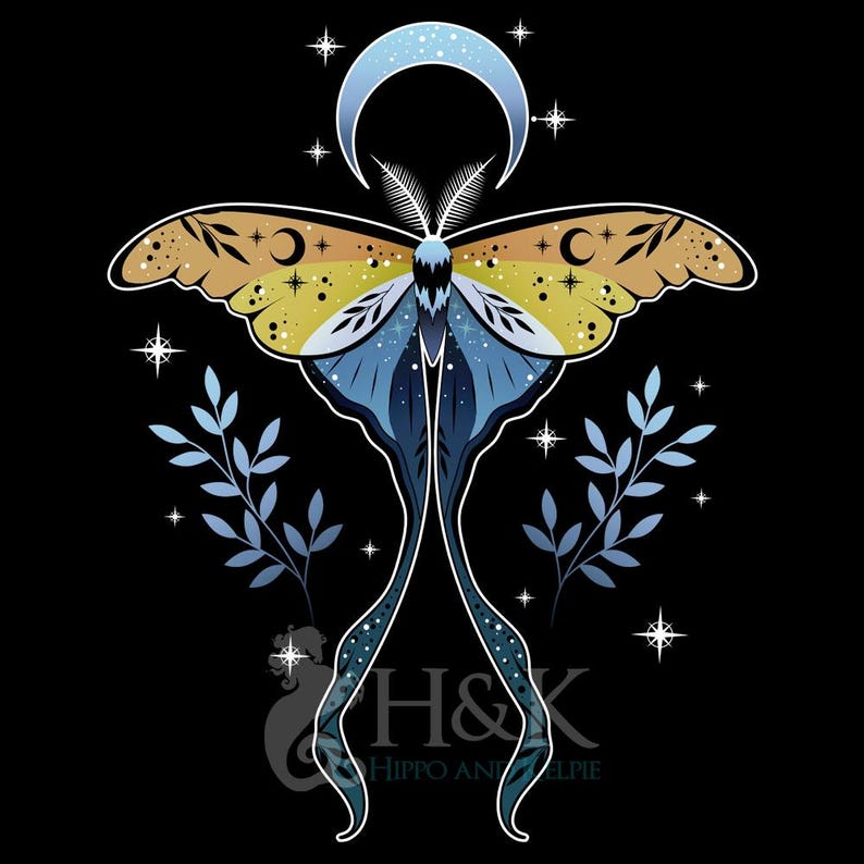 Aroace Pride Shirt, Sunset Flag, Women, Men, Aro Ace Pride Gift, LGBT T ...