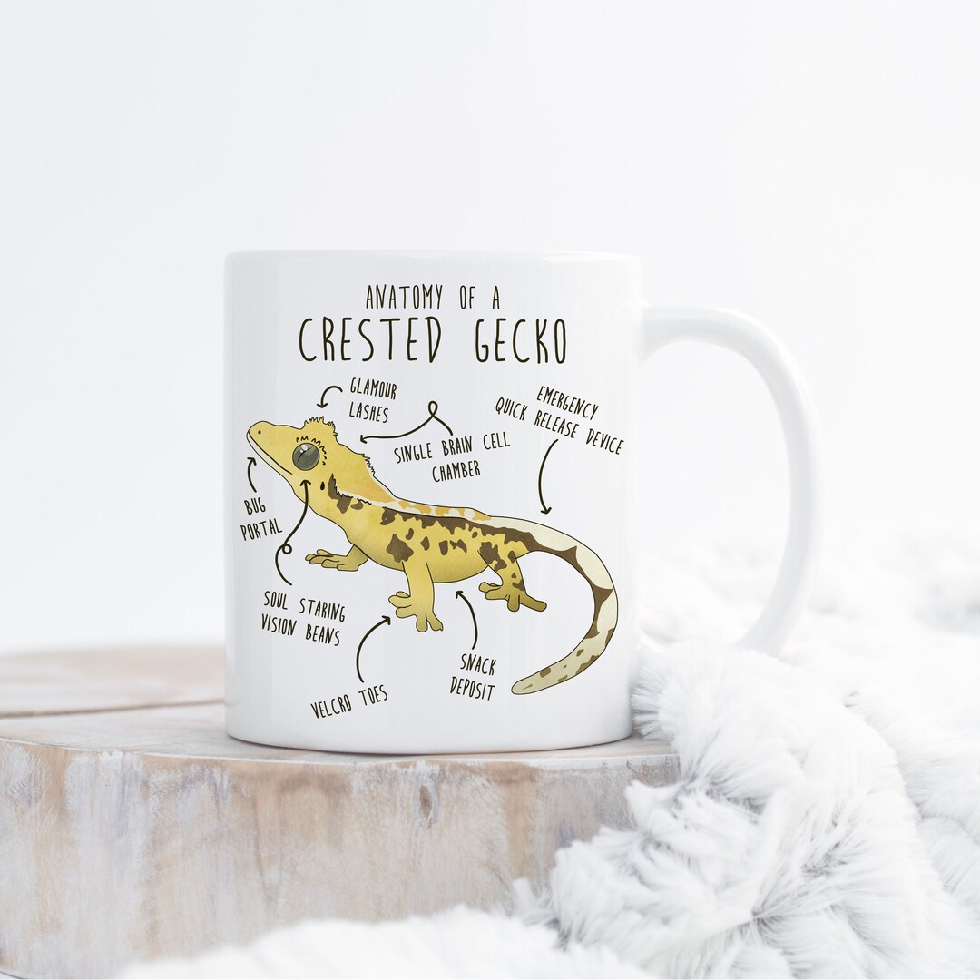 Crested Gecko Coffee Mug, Cute Reptile Gift, Harlequin Crested Gecko ...