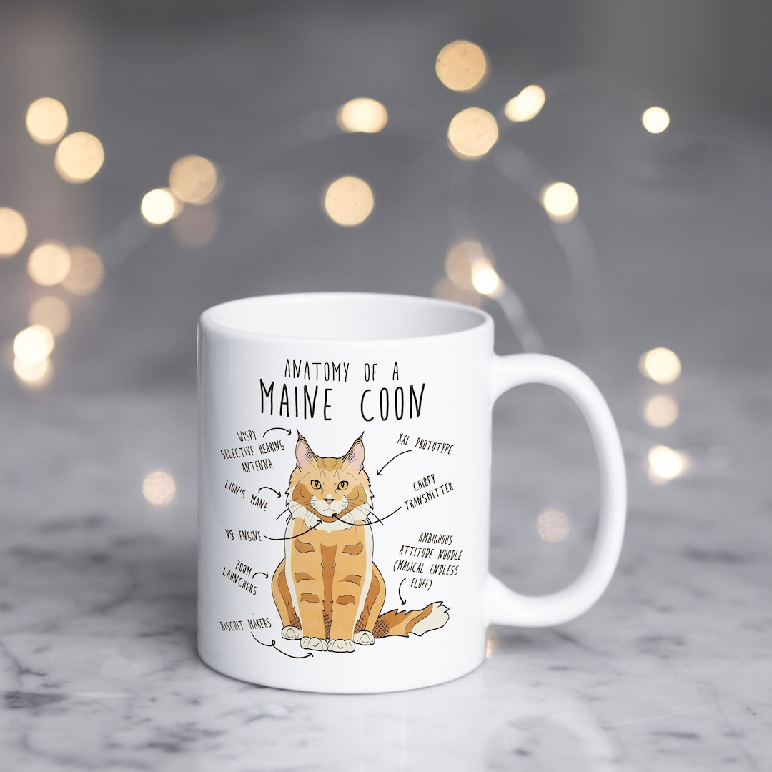 Maine Coon Cat Coffee Mug, Funny Cat Lover Gift, Cute Cat Coffee Cup ...