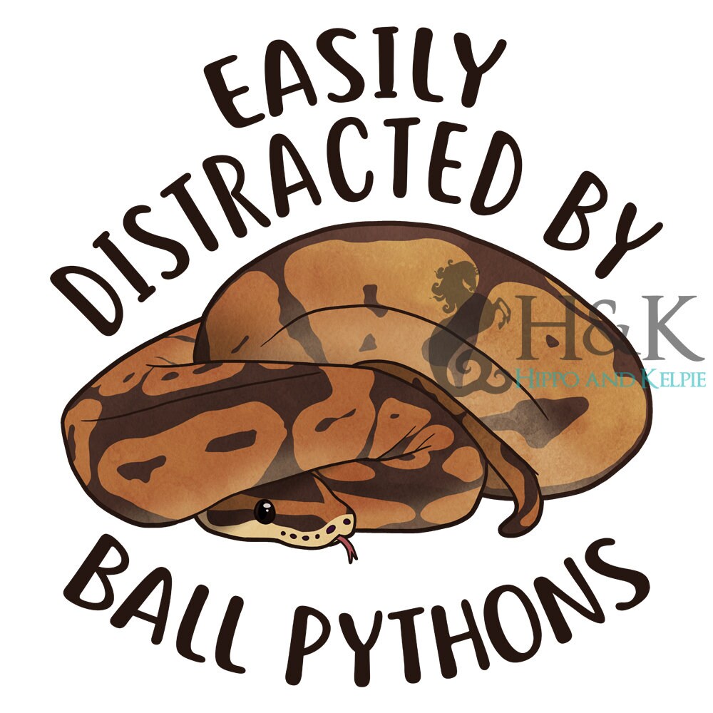 Ball Python Coffee Mug, Cute Snake Lover Gift, Funny Reptile Mug, Gift ...
