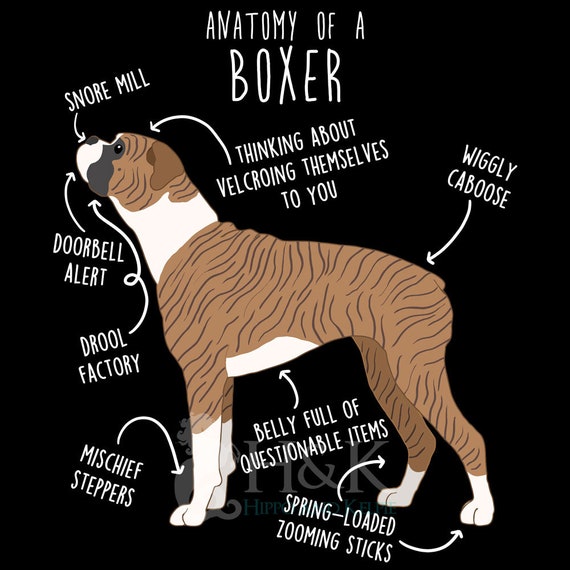 Camisetas De Boxer Atigrado