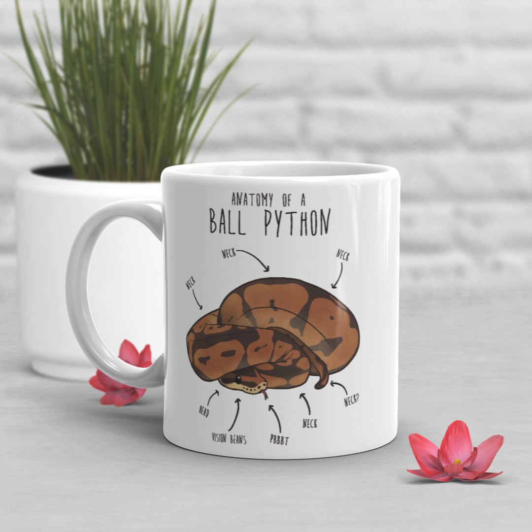 Ball Python Coffee Mug, Cute Snake Lover Gift, Funny Reptile Mug, Gift ...