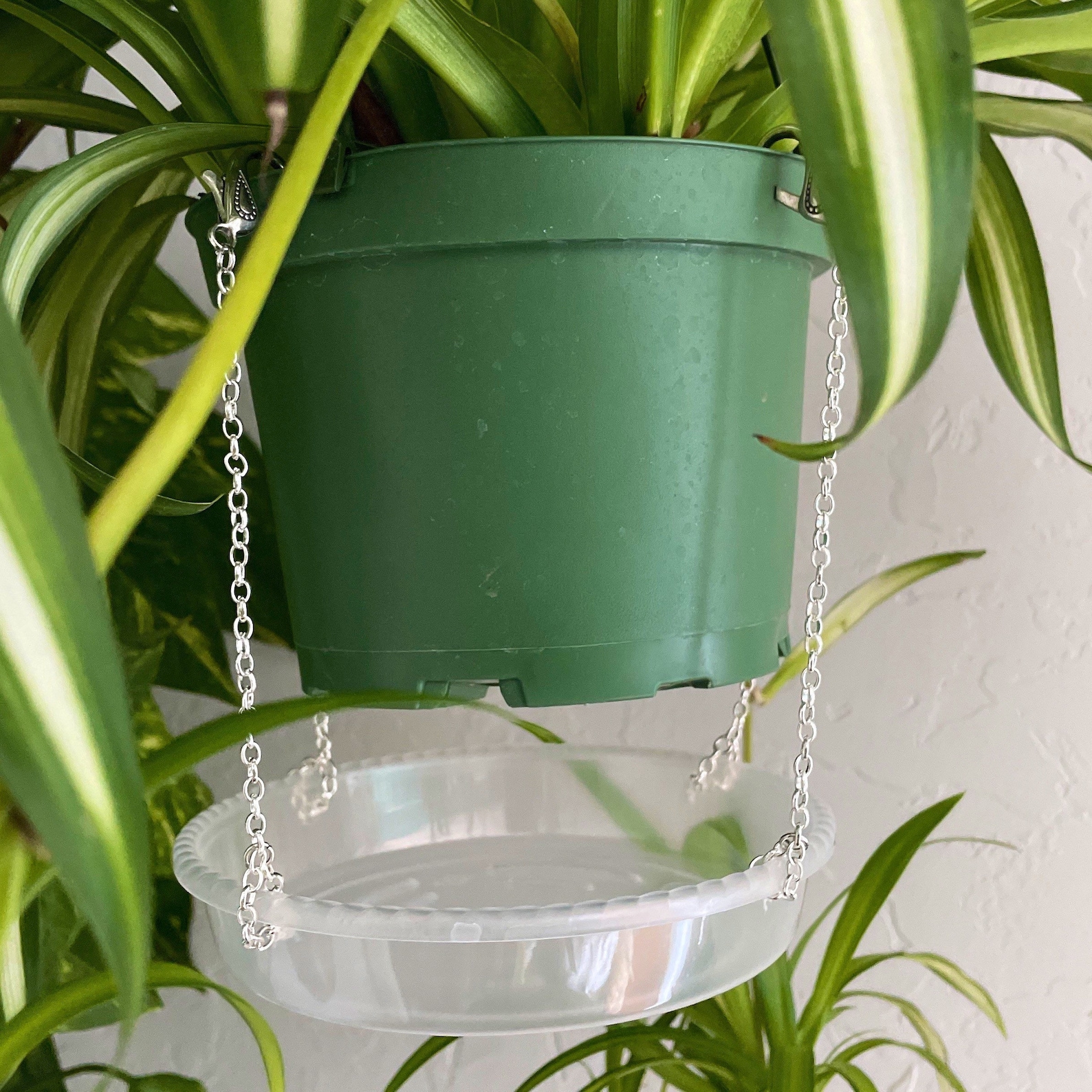 Hanging Planter Drip Tray Water Catcher | Etsy