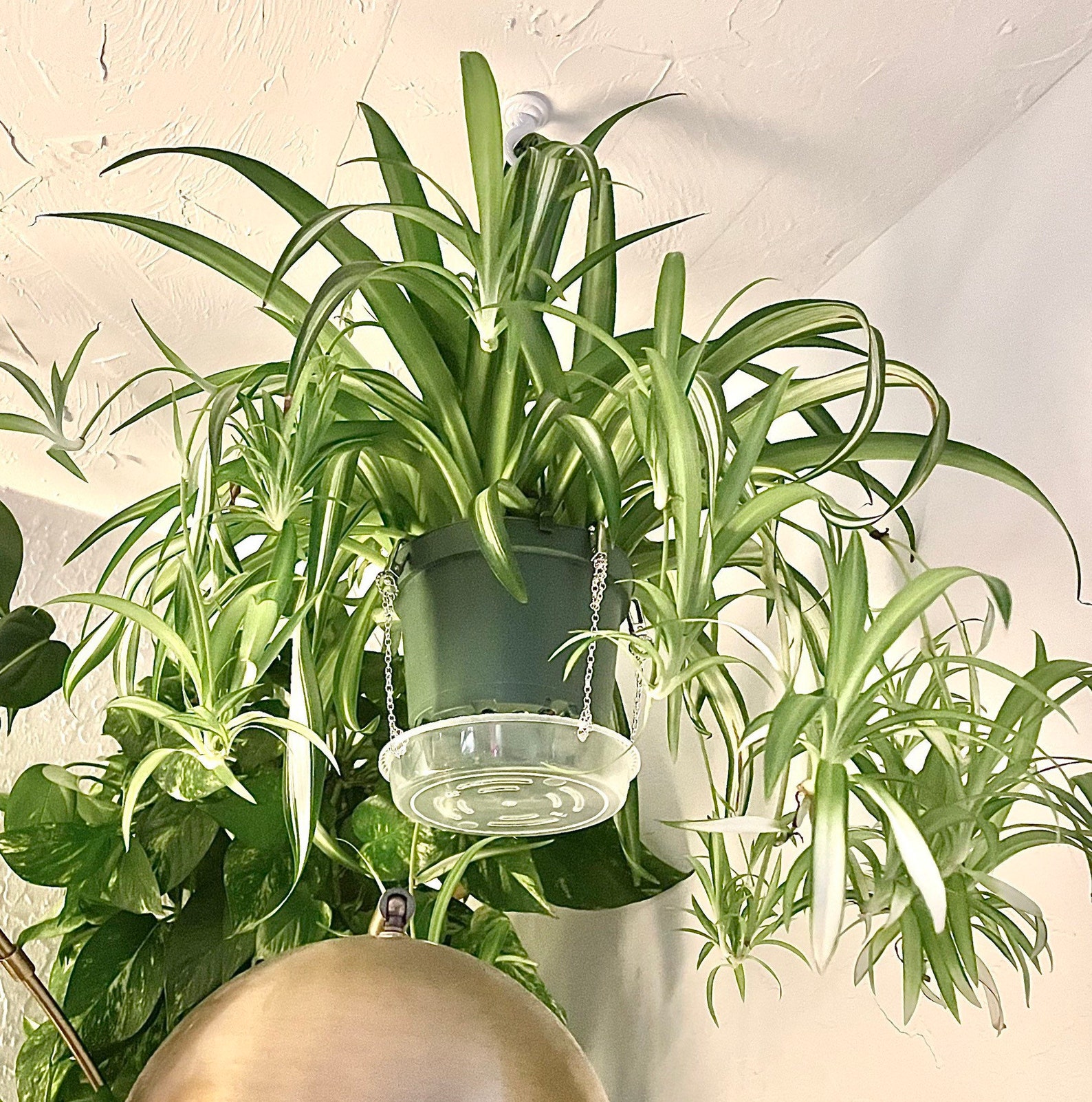 Hanging Planter Drip Tray Water Catcher - Etsy