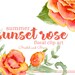 Summer Sunset Rose Watercolor Clip Art Set in Coral - BUNDLE Basic ...